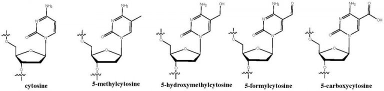 Epigenetics and Modified Bases - Balasubramanian Lab
